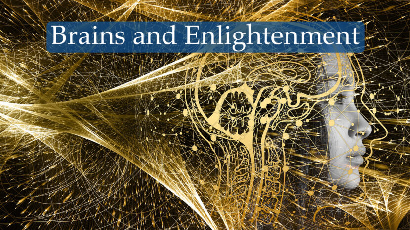 Brains & Enlightenment? - Brendan Lea